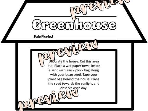 Plant Life Cycle Observation Greenhouse Craft and Plant Observation Book