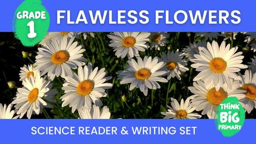 1st Grade Flowers Nonfiction Science Reading and Writing (ELA) | TPT