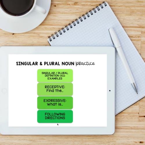 Singular and Plural BOOM Cards™ for Speech Therapy by Alie B SLP