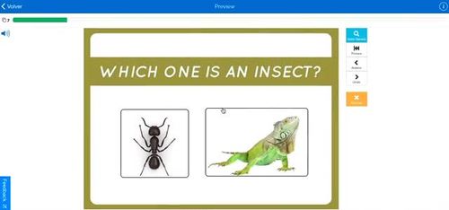 Boom Cards - Insects by TeachersinBA | Teachers Pay Teachers