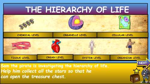 The Hierarchy Of Life Powerpoint + Worksheet. Biological Organization.
