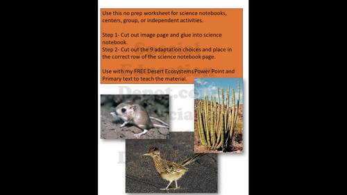 Desert Ecosystems Science Notebook Page 3rd through 5th grade and VAAP