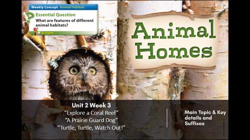 Second Grade McGraw Hill Wonders U2W3 Editable Powerpoint Presentation