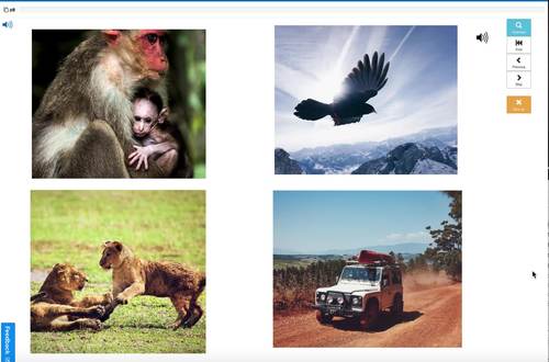 Select by Feature: ABLLS-R® C38 by Affirm ABA | TPT