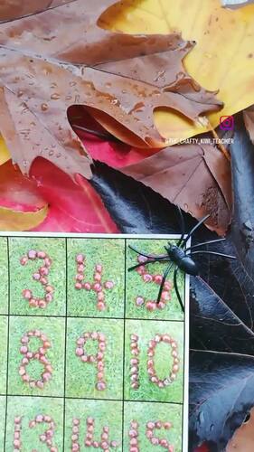 Conker - horse chestnut nature numbers 0-20 A4 size by The Crafty Kiwi ...