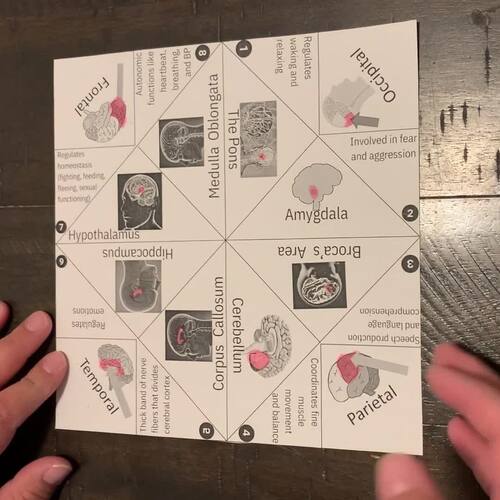 Biotechnology Activity (Cootie Catcher Foldable: Biology EOC, STAAR, AP ...