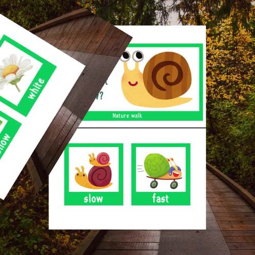 Question of the day preschool April, Morning meeting questions, Nature Walk