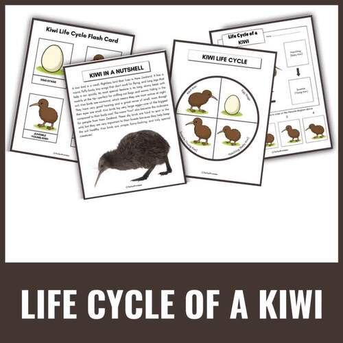 Kiwi Life cycle, Flightless Birds science unit study with fun facts!