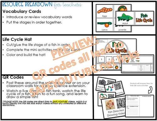 Fish Life Cycle l All about Fish | Fish Research Project | Ocean Animal ...