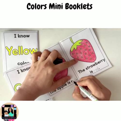 Color Mini Booklets - 11 Color Books for Learning Colors | TPT