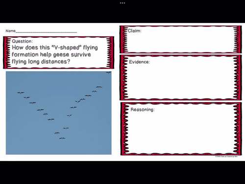 10 CER LIFE SCIENCE Image Prompt Activities Bell Ringers Graphic ...