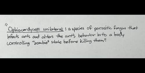 STEM: Zombie Ants Stop Motion Movie by Jaysons Creations | TPT