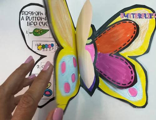 All About Butterflies Butterfly Life Cycle Informative Writing | TPT