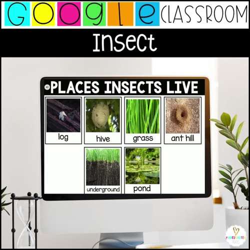 Google Classroom™ Seesaw Distance Learning Insects Slides Digital Learning