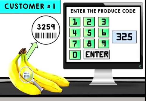 Job Skills - Grocery Store - Life Skills - Vocational Skills - Produce ...