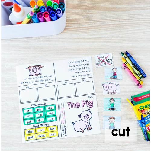 CVC Fluency Decodable Reading Comprehension Passages and Phonics