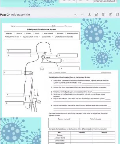 PowerPoint Presentation: Immune System by Mitochondria Science | TPT