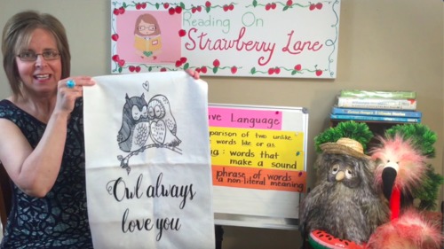 VIDEO: Reading: Set 1. Lesson 56. Word Family Pattern -ot | TPT