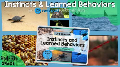 Instincts and Learned Behaviors for Nearpod in Google Slides by Braided ...