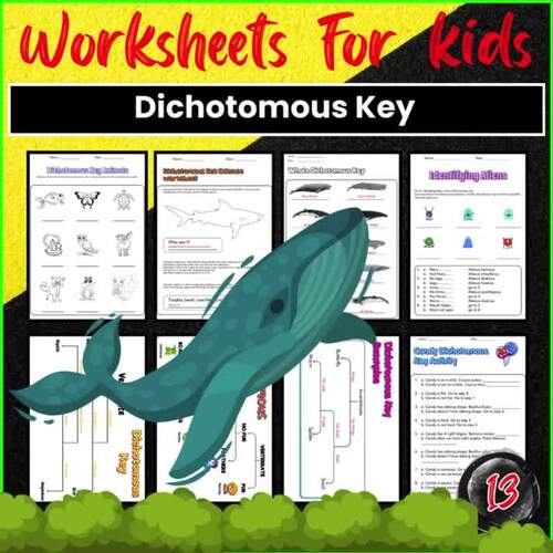 Dichotomous Key Worksheets Activities Answers by Lib Anatomy school
