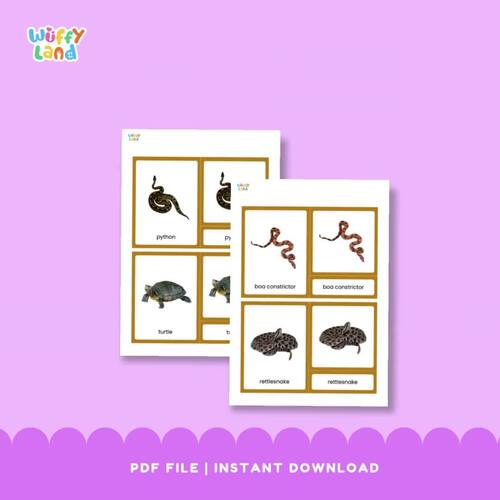 Reptiles Montessori 3 Part Card with Real Image by Wuffyland | TPT