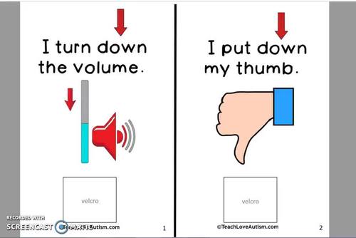 Core Vocabulary Adapted Book: Down by Teach Love Autism | TPT