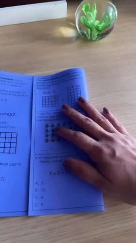 Florida B.E.ST. Math Standards 3rd Grade Math Review MA.3.AR.1 - MA.3.AR.3