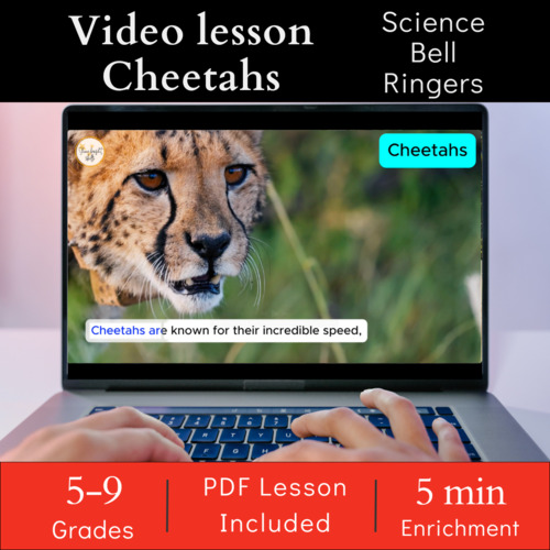 Science bell ringer video (4 min) - Cheetahs - Middle school | TPT