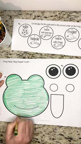 Life Cycle of a Frog Craft | Frog Life Cycle | Sequencing | Spring Activity