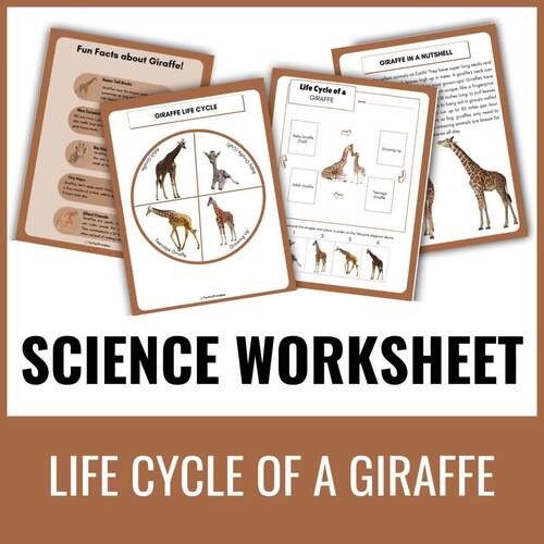 Life Cycle of a Giraffe Worksheet - Animal Science Unit Study With Fun ...