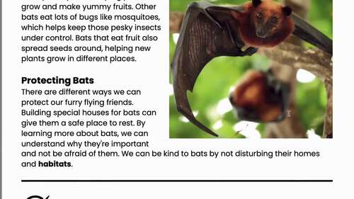 2nd Grade Bats Nonfiction Science ELA Unit: Halloween Reading & Writing