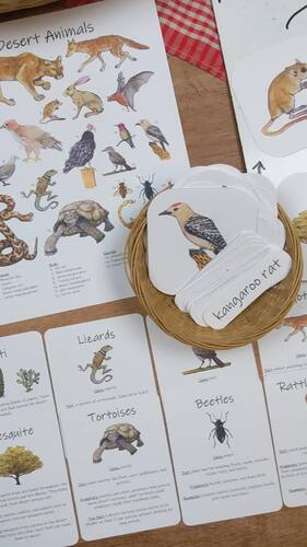 Desert Animals & Plants mini study: meet the wildlife of deserts!