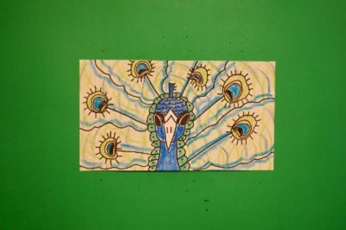 Let's Draw a Peacock! by Patty Fernandez Artist | TpT