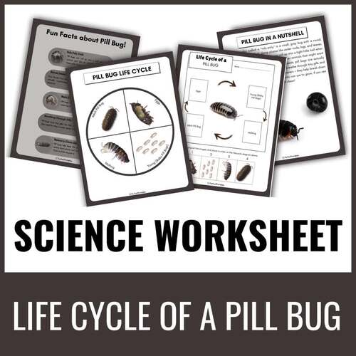 Life Cycle of a Pill Bug Worksheet- Roly Poly Unit Study With Fun Facts!