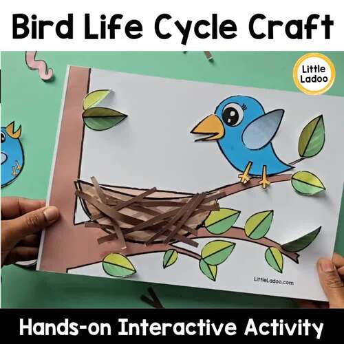 Spring Bird Craft – Life Cycle of a Bird Activity - Cut and Paste Bird Nest
