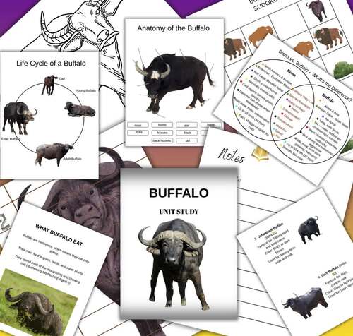 Buffalo unit study, Buffalo anatomy, Homeschool nature study, Printable ...