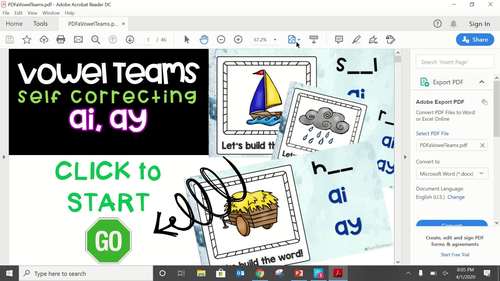 Vowel TEAM ai, ay SELF CORRECTING PDF- Digital Google ONLINE Distance ...