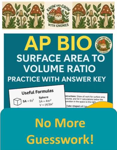 Surface Area to Volume Ratio (SA:V) Practice with Answer Key|AP Biology ...