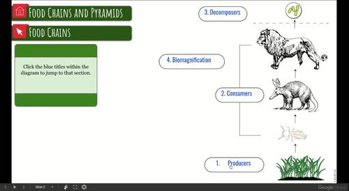 Food Chains and Food Webs Interactive Diagram by Science With Mrs Lau