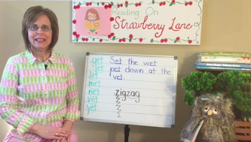 VIDEO: Reading: Set 1. Lesson 30. Word Family Pattern -et | TPT