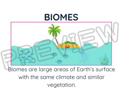 Biology Introduction to Ecology, Cycles, and Ecosystem Energy Presentation