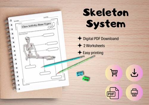 Skeleton System Worksheets by Alican Kaya | TPT