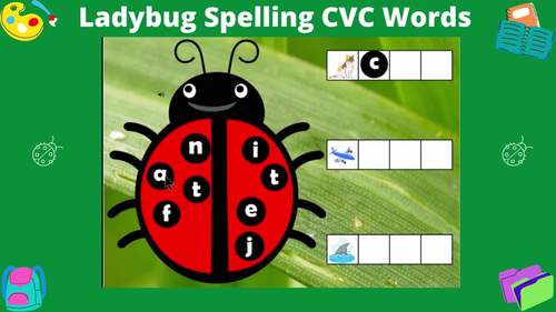 Ladybug Spelling CVC Words Boom Cards by Teacher's Pride | TPT