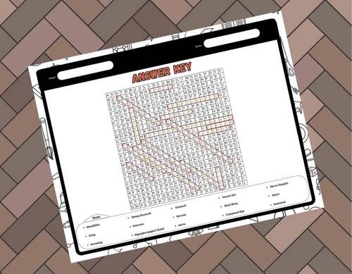 Bee Anatomy Worksheet | Labeling Insect Body Parts & Word Search ...