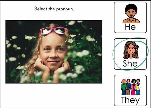 Identify the Pronoun: He, She, They | Boom Cards by ABA Learning Corner