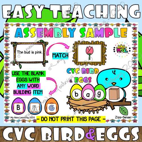 Phonics CVC Words Spring Build-up Activity Literacy Bird And Nest Theme ...