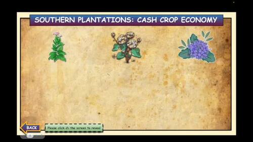 Southern Colonies. Slavery and Work On A Southern Plantation ...