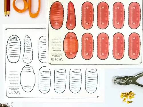Worm | Jointed Animal Craft | Articulated Craft | Worms by Simply ...