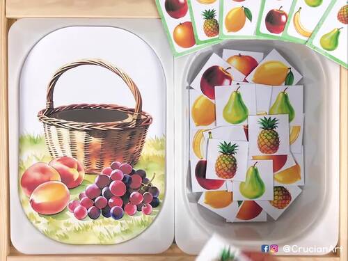 Fruit Harvest FLISAT Insert Template: Match & Count Fruits Sensory Bin ...
