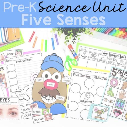 Pre K Science Activities, Preschool Science Curriculum & Lesson Plans ...